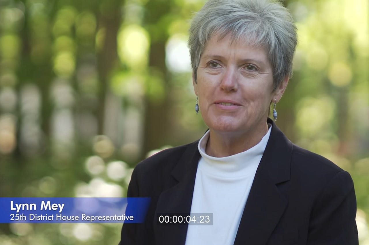 Lynn Mey’s Newsletter | Mey4DE | Substack