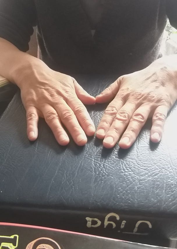 Catríona’s Newsletter | Substack