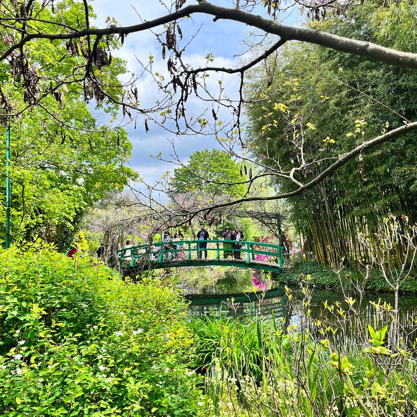 Nassie | Snippets of Paris | Substack