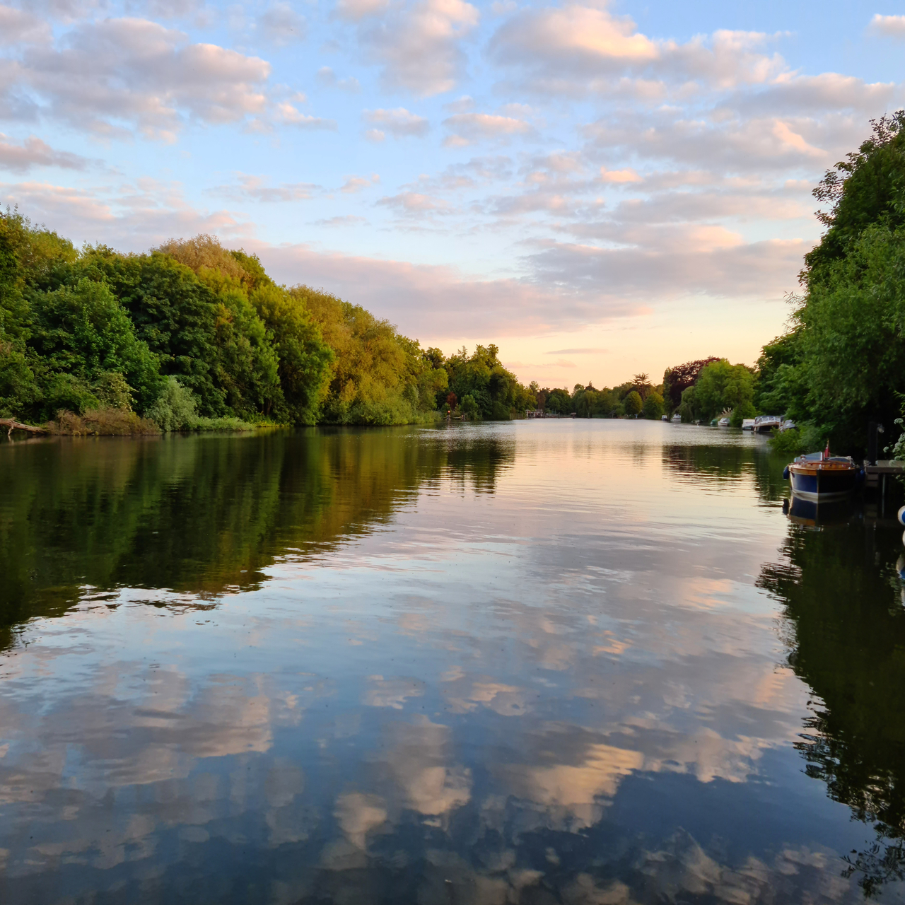 The Second Swim | Iona Italia | Substack