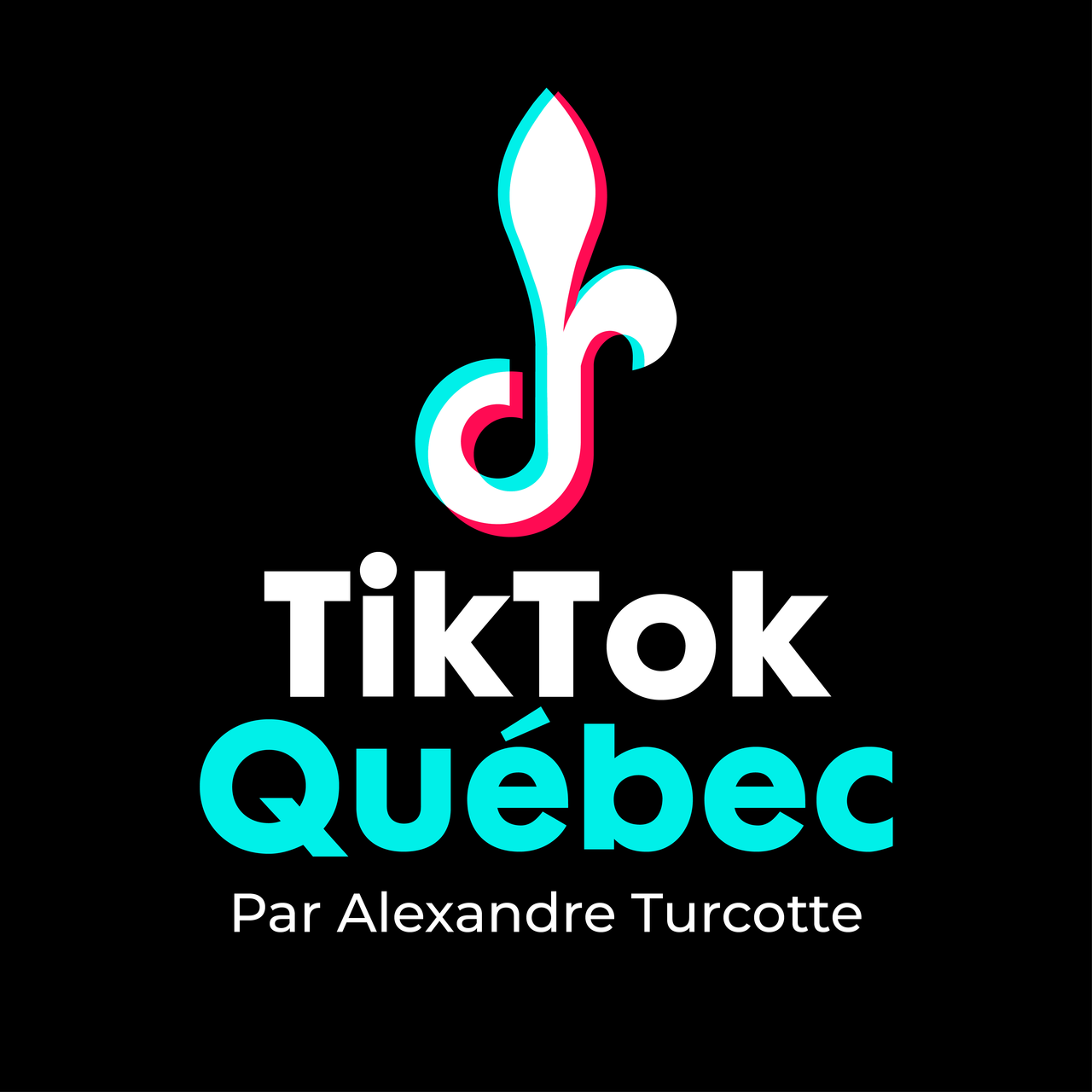 TikTok Québec : L'infolettre d'Alexandre Turcotte | Substack