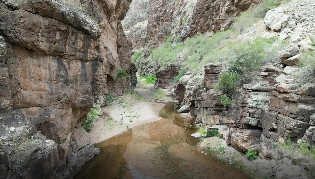 Find The Ship | Albatross | Substack