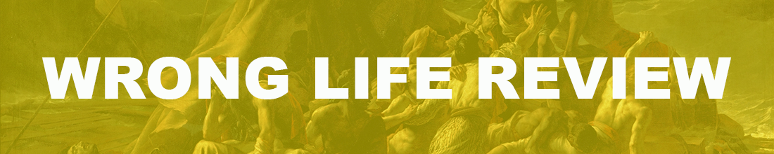 Wrong Life Review | Allison Hewitt Ward | Substack