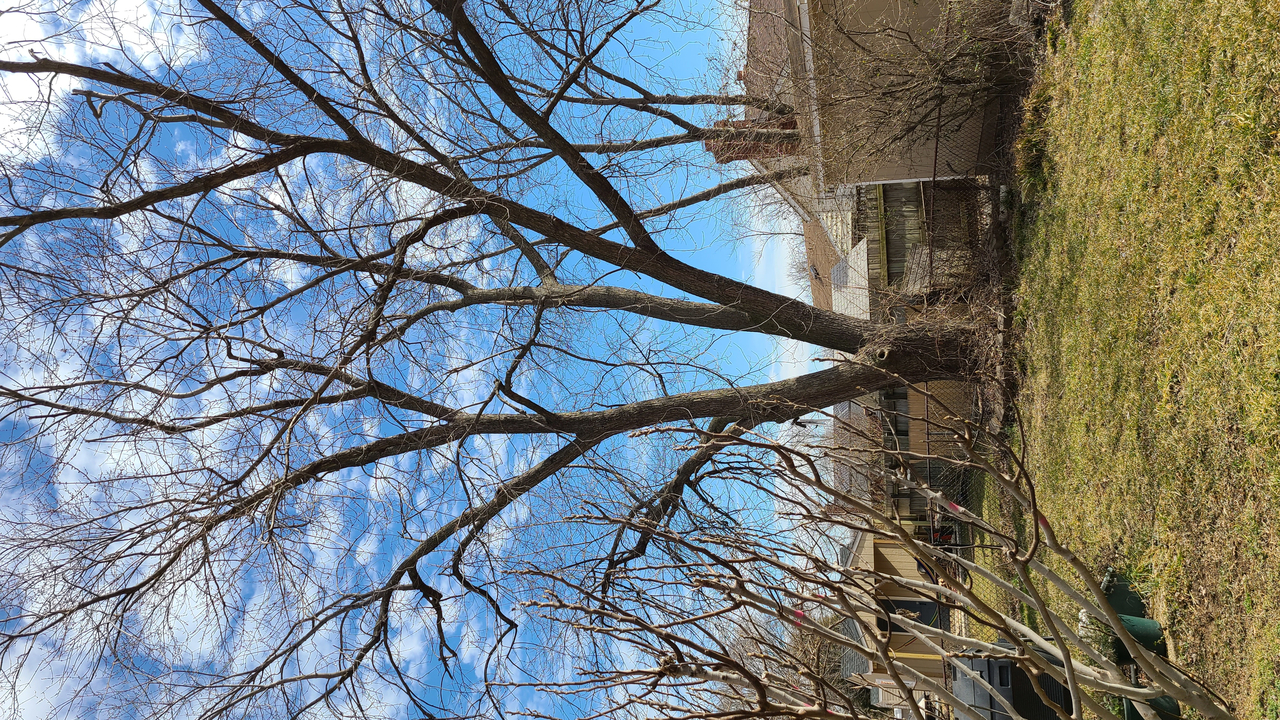 plants.fail | Kim | Substack