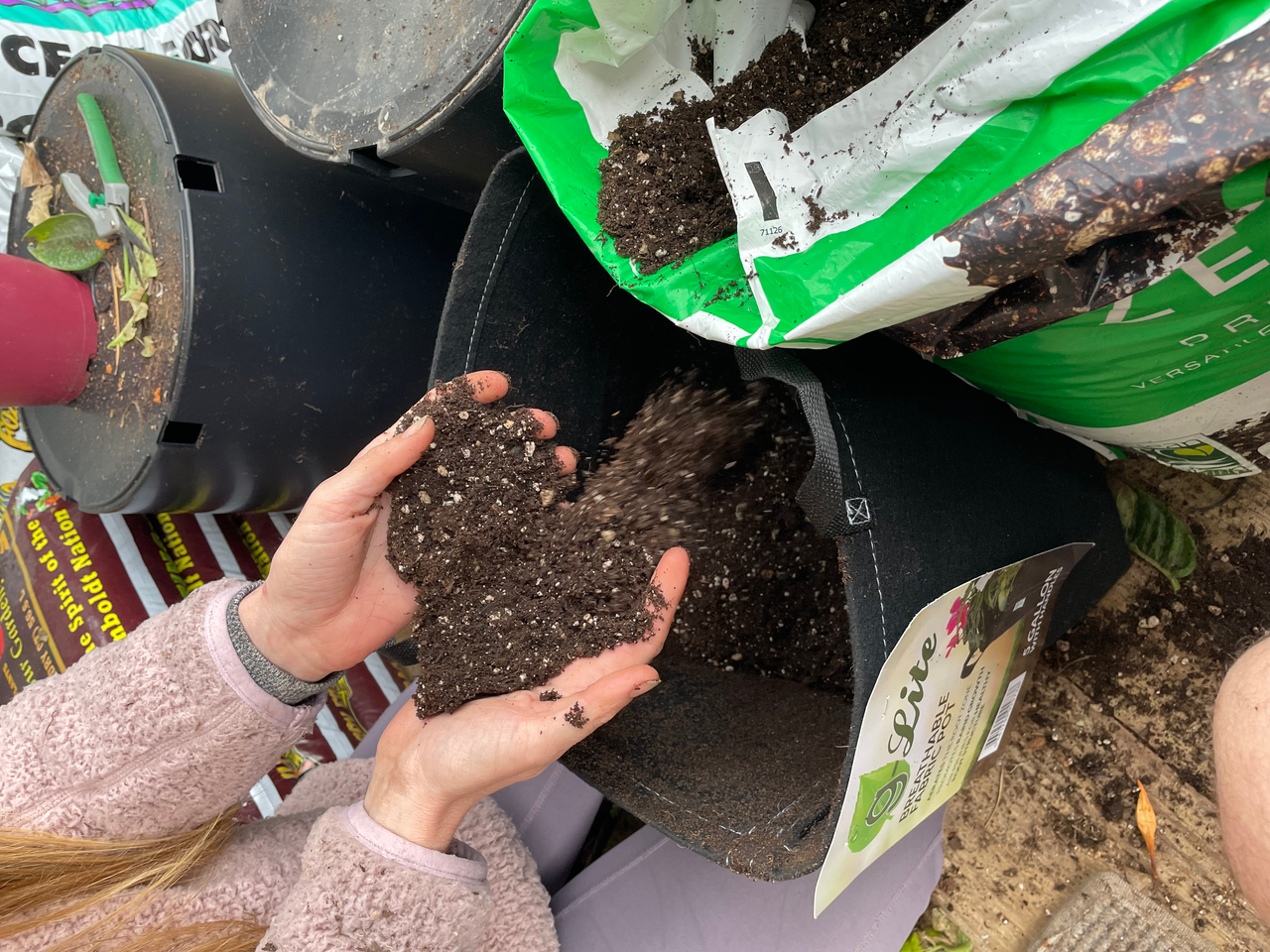 Black Thumb Bulletin | Substack