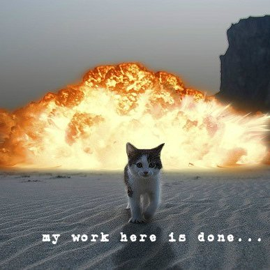 bad cattitude | el gato malo | Substack