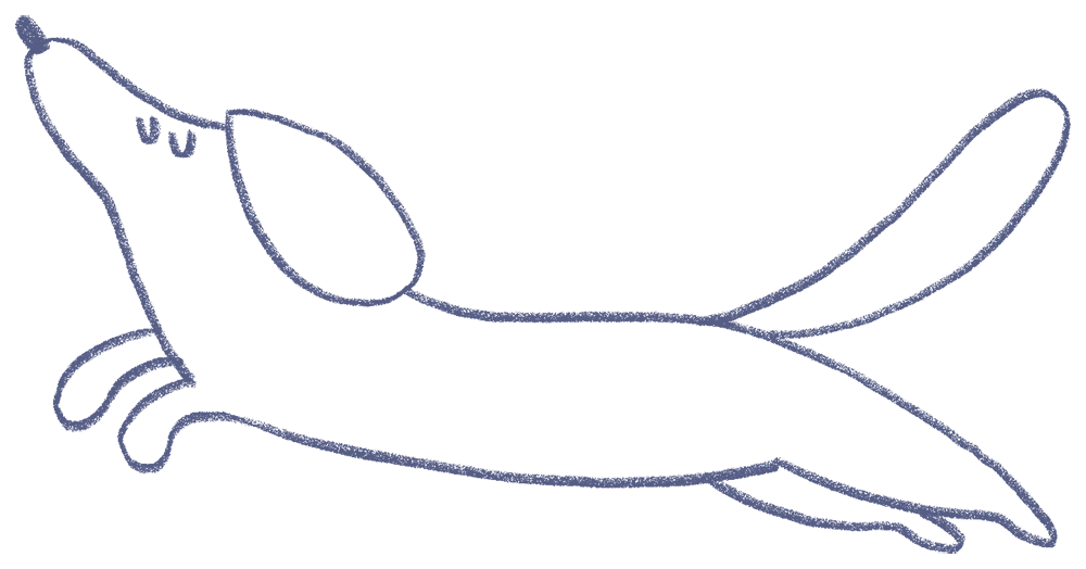 Chasing the Sundog | Michelle Jia | Substack