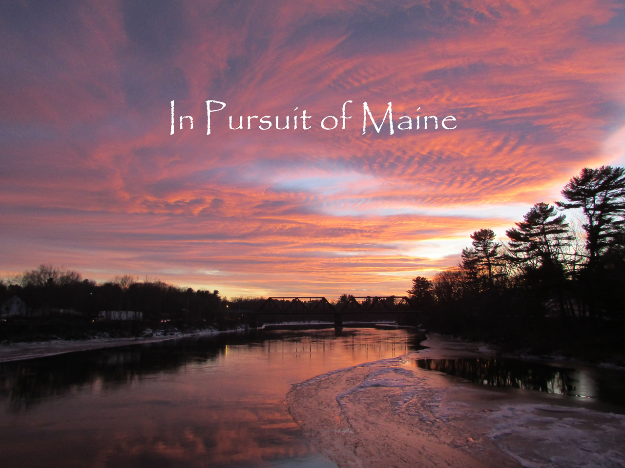 In Pursuit of Maine | Melanie Lee | Substack
