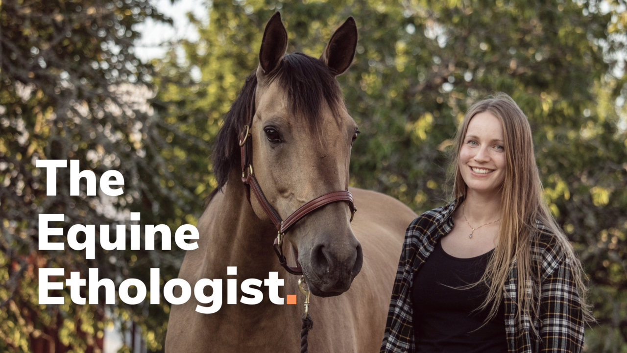 The Equine Ethologist | Renate Larssen | Substack