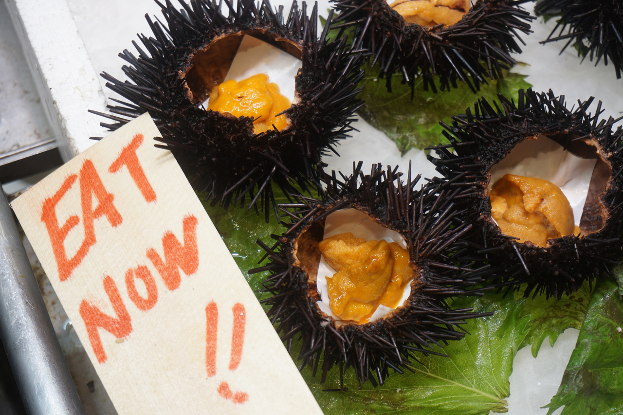 Pandemic Kitchen | Jacob Dean | Substack