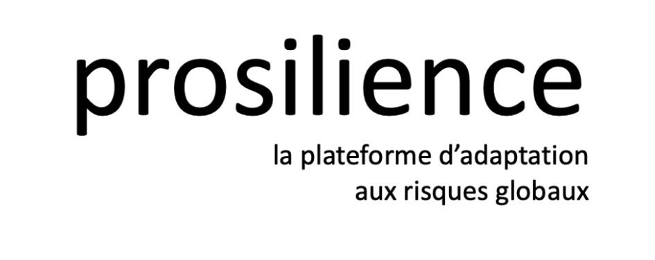 | prosilience | anticipatory resilience | | futuratinow | Substack