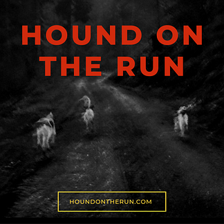 Hound on the Run | Niklas Isaac | Substack