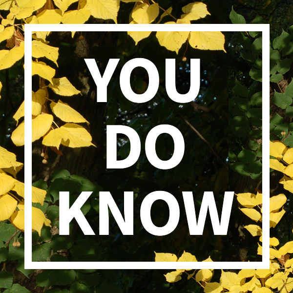 You Do Know | Fiona Peacock | Substack