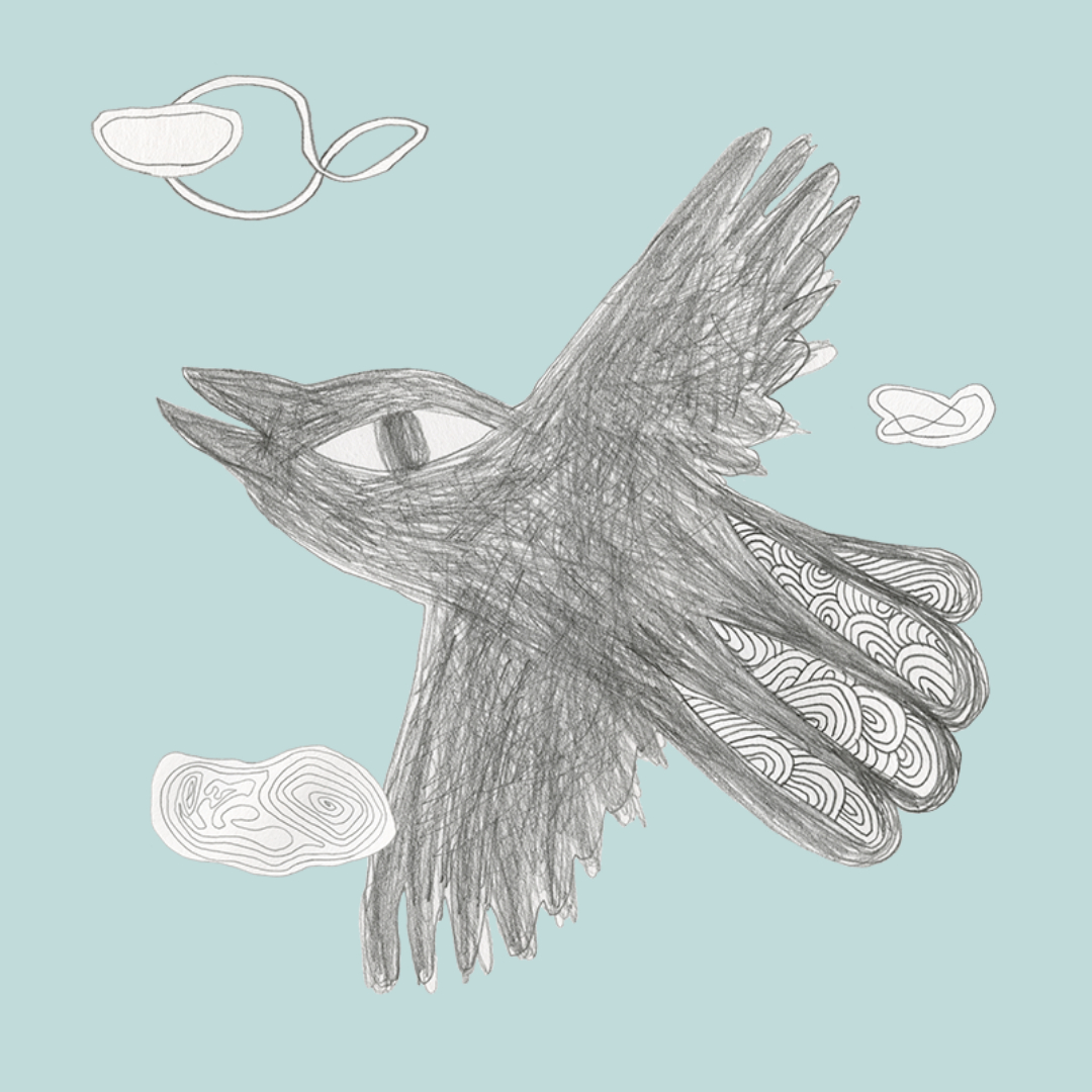 Katherine May's Stray Attention | Substack