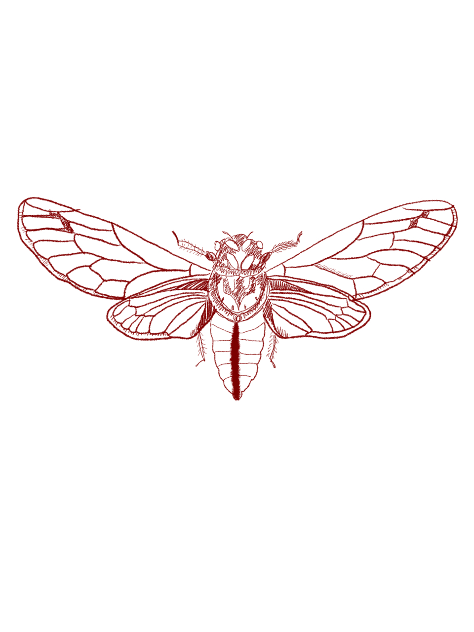 You Snooze You Win | Sabine Grohowski | Substack