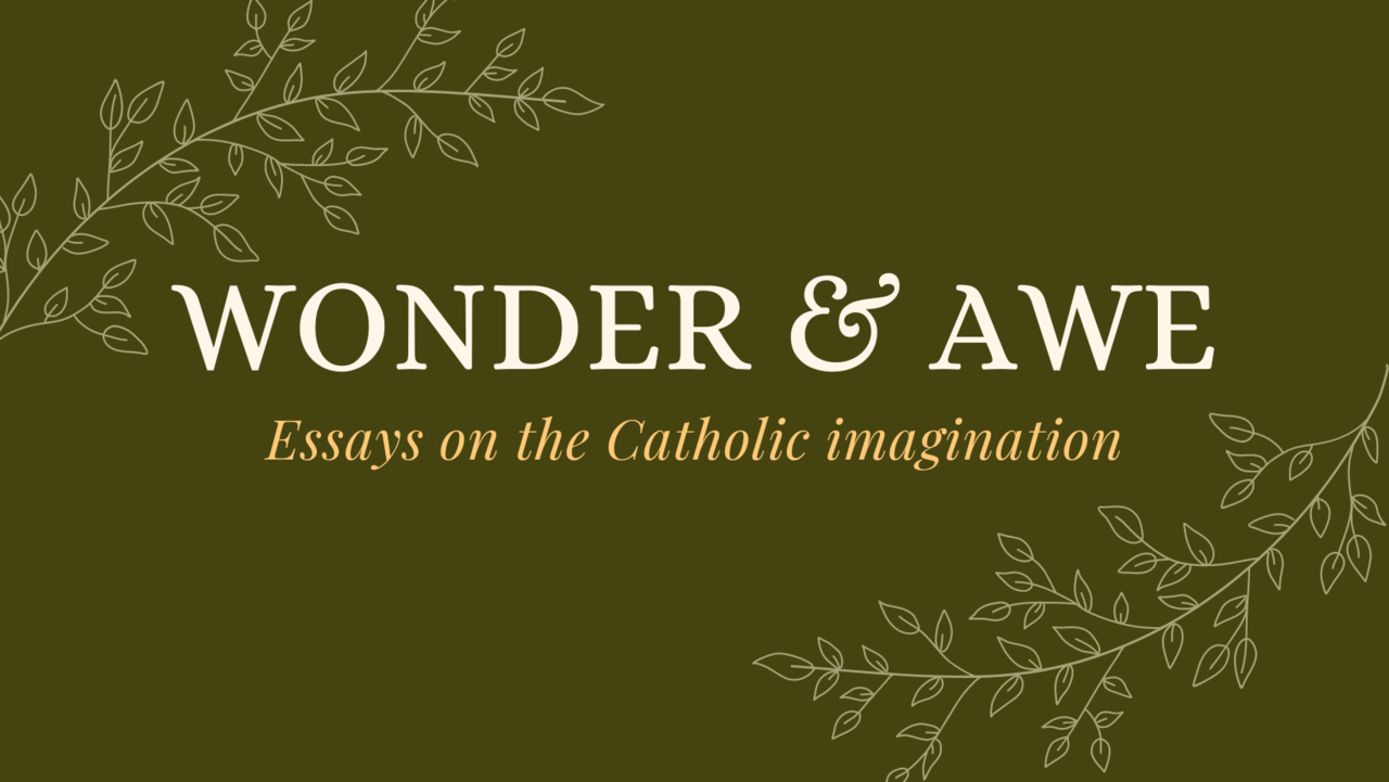 Wonder & Awe | Catherine Sullivan | Substack