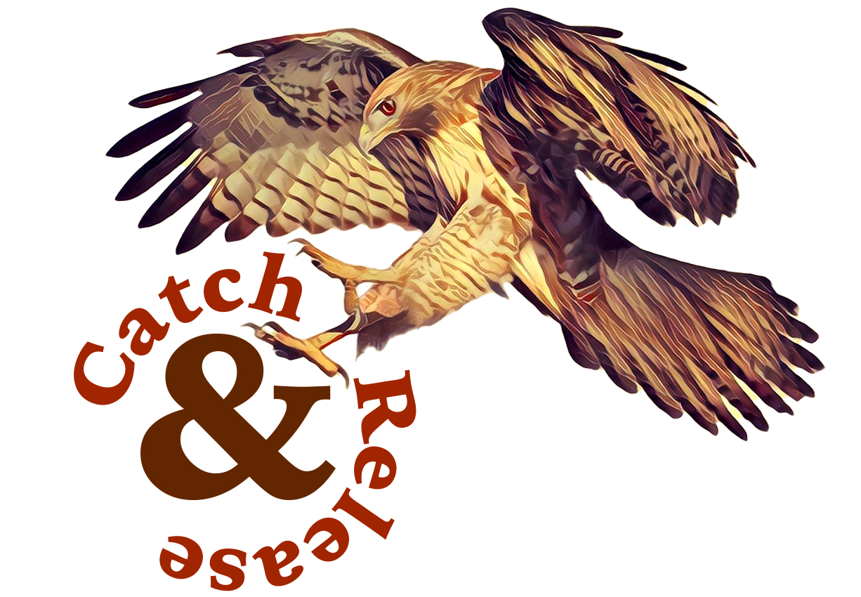 Catch & Release | Ben Wakeman | Substack