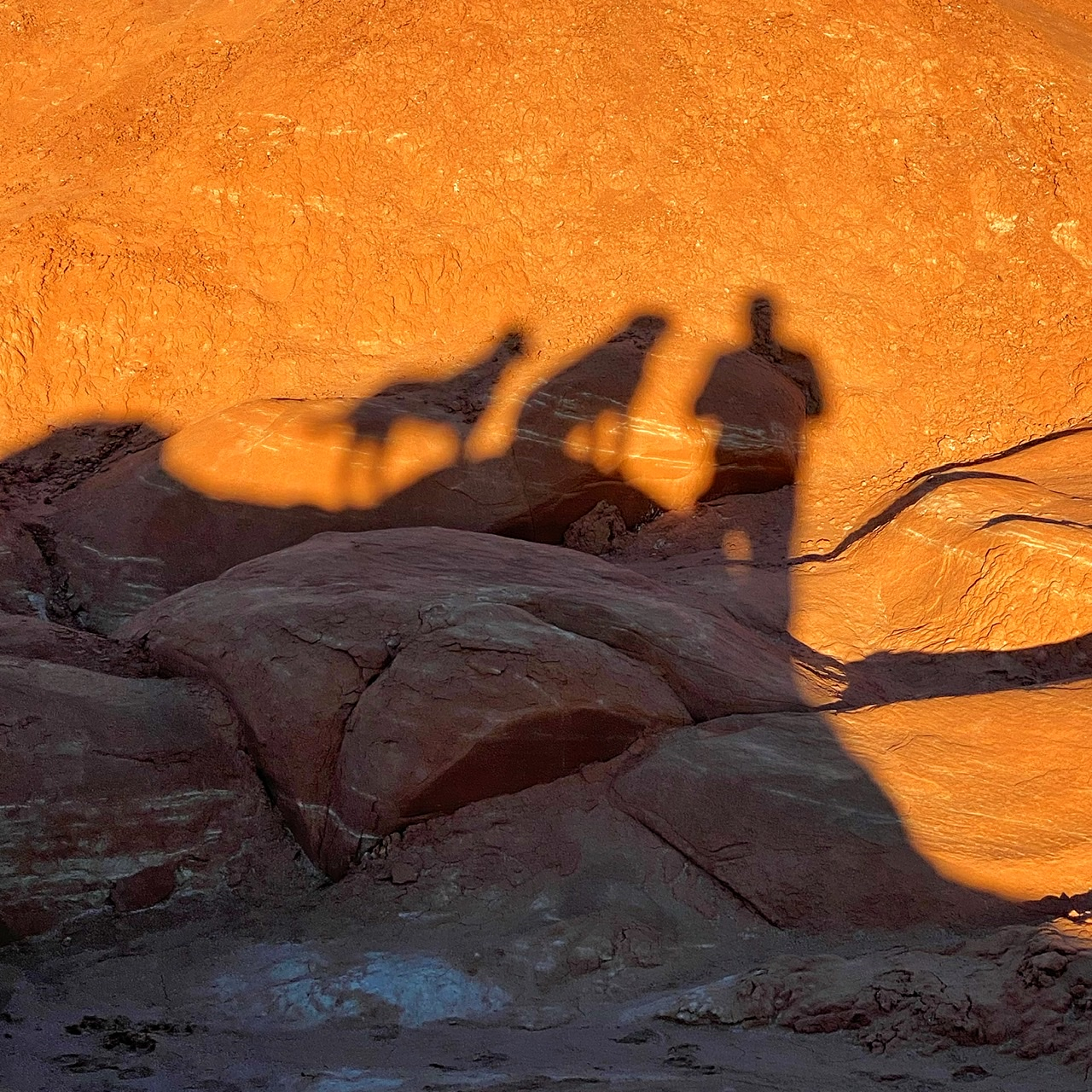 Tom Ryan, Author | Substack