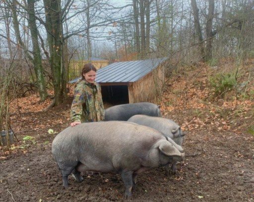 Slowdown Farmstead | Tara | Substack