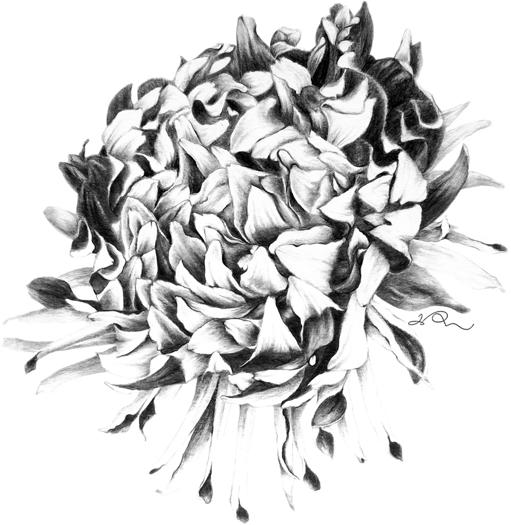 Everything is Liminal | Jenna Park | Substack