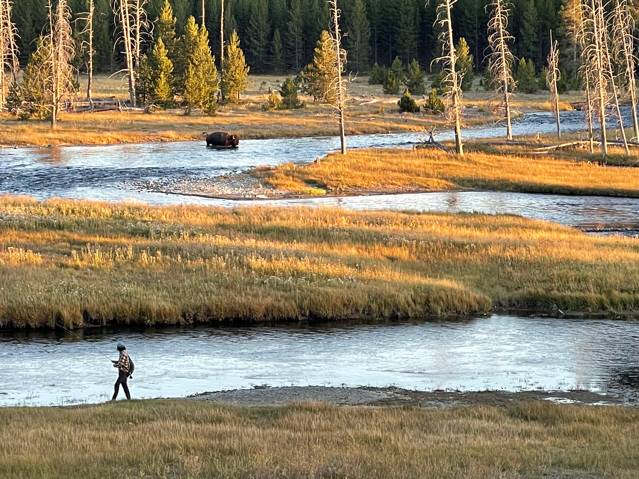 Heaven On Wheels | Steve Sande | Substack