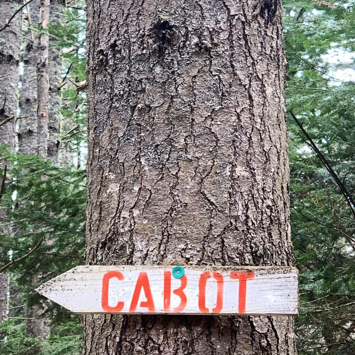 Cabot Life | Dana Robinson | Substack