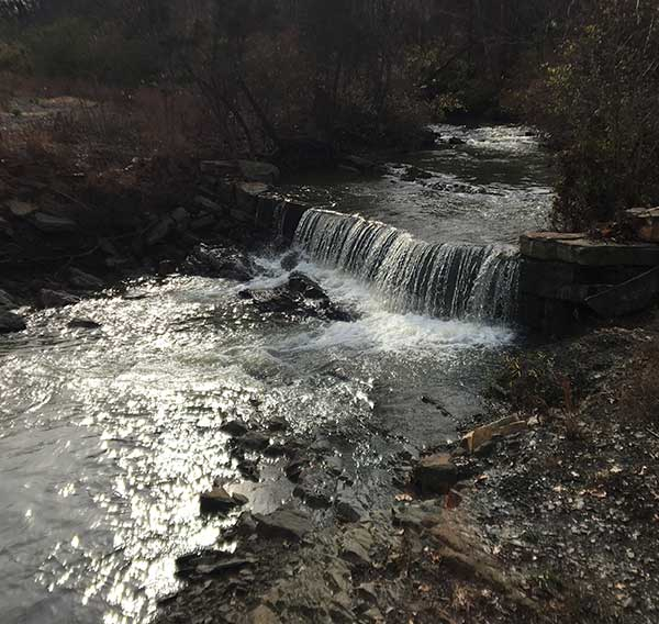 Ozark Hollow | Charlie Alison | Substack