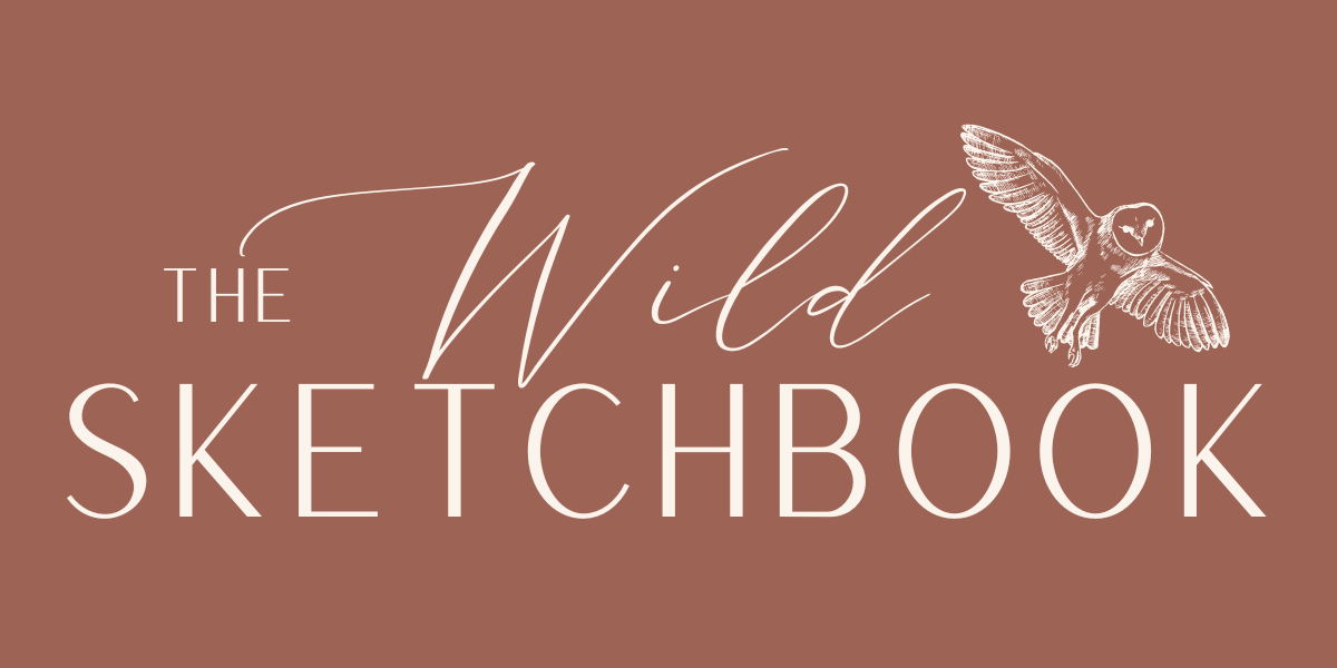 The Wild Sketchbook: Members Only | Natalie Eslick | Substack