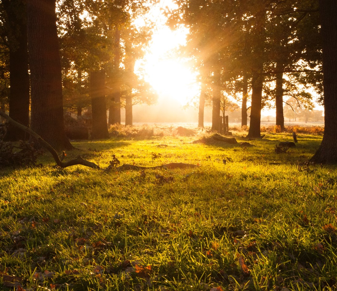 Publish Peace | Jacob Z. Hess | Substack