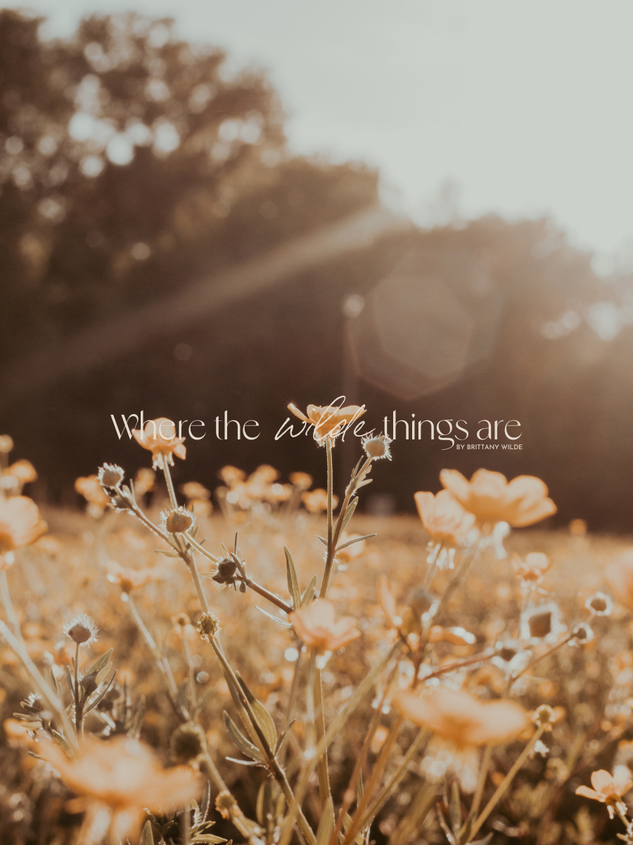 Where The Wilde Things Are by Brittany Wilde | Substack