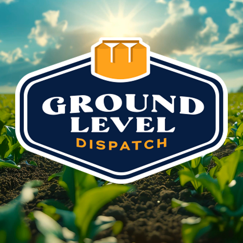 Ground Level Dispatch | John King | Substack