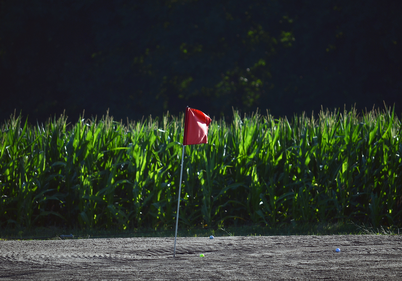 The Albatross | Bill Fields | Substack