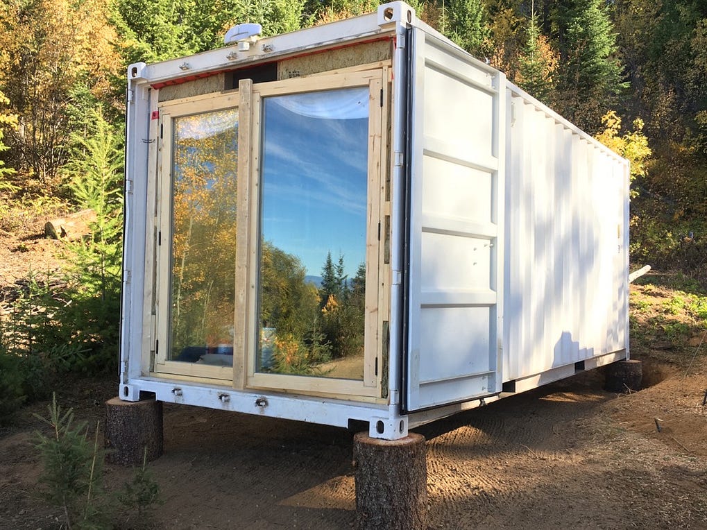 Wild Life with Amy Jay | Substack