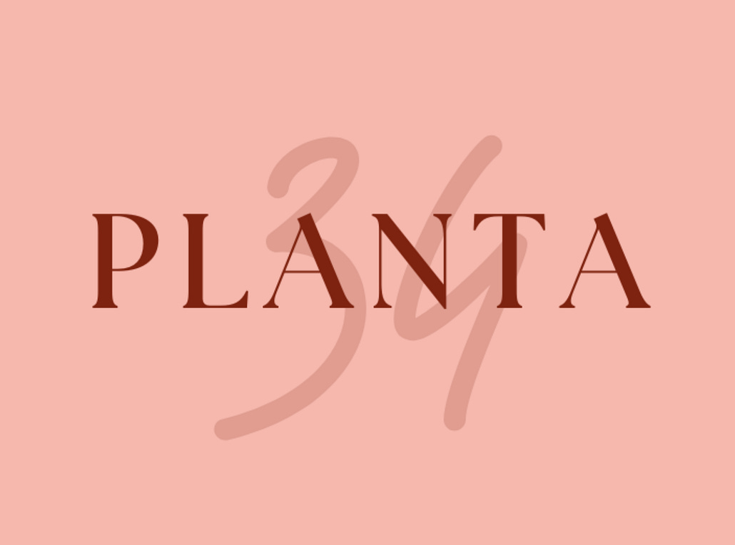 PLANTA34 | Helena Farré Vallejo | Substack