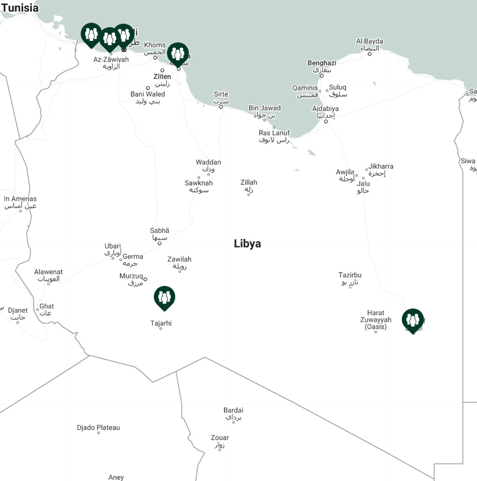 Libya Security Monitor: 19 February 2025