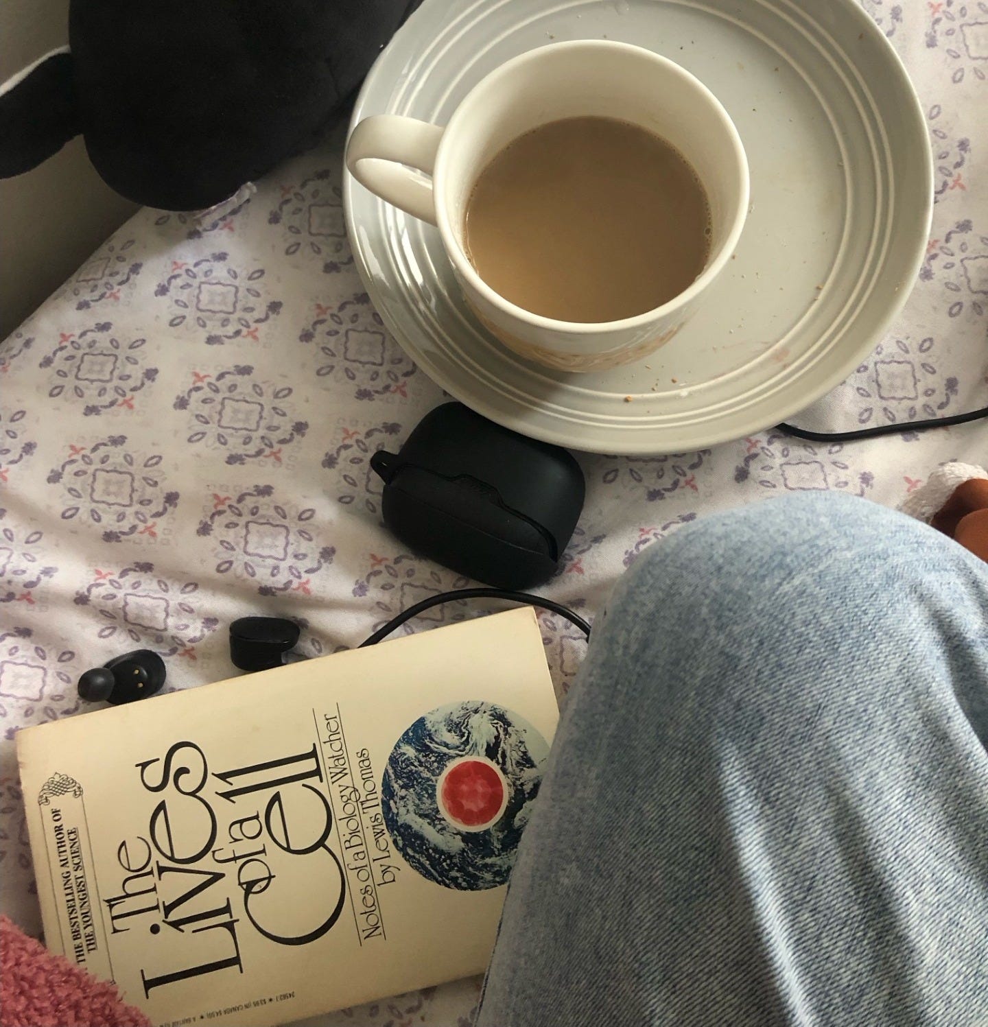 merry cheerios - by tang (汤) soupie - tang’s chops