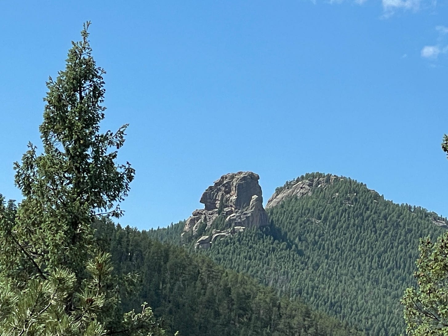 Noddle Heads - by Tom Mowle - From the Ramparts