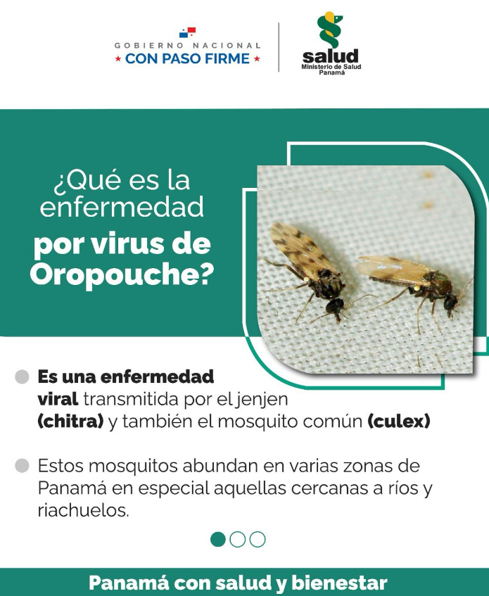 Panama reports first Oropouche fever death