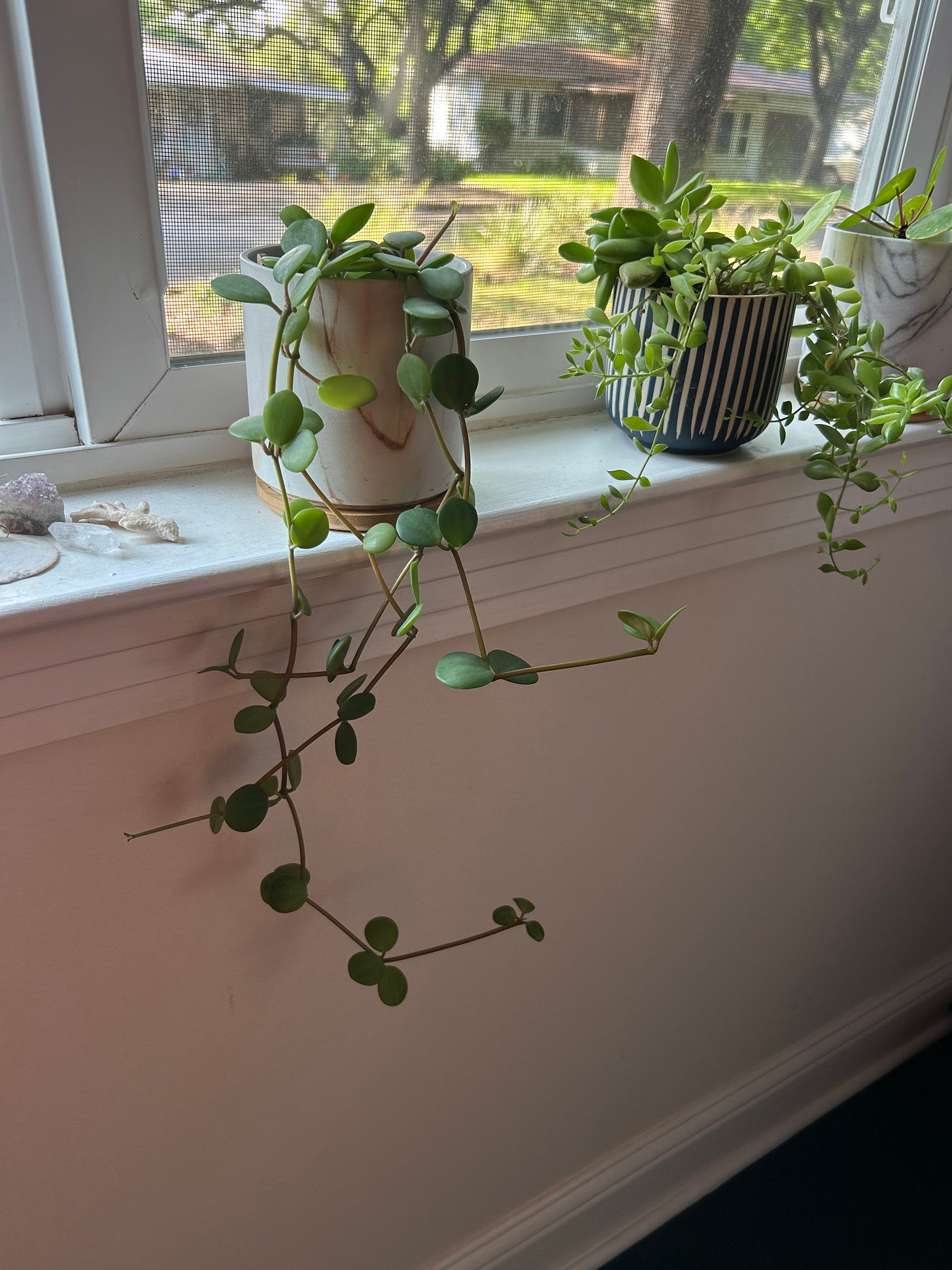 Haiku 30 - April 30, 2025 - Liz Garton Scanlon