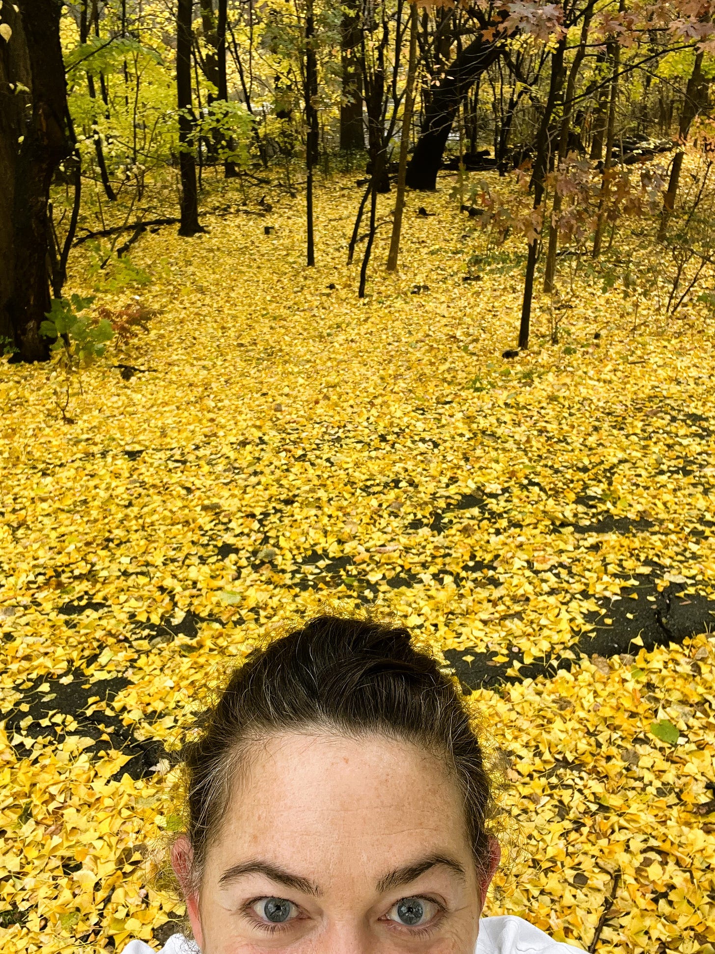 Two Ways to Actually Do Things - by Stacy Boyd