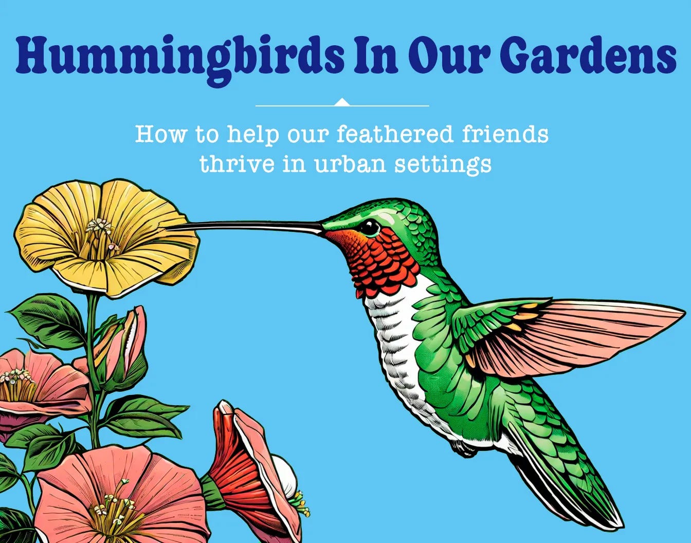 HIOG #8: Every Little Thing - A Chat with Hummingbird Rehabber Terry ...