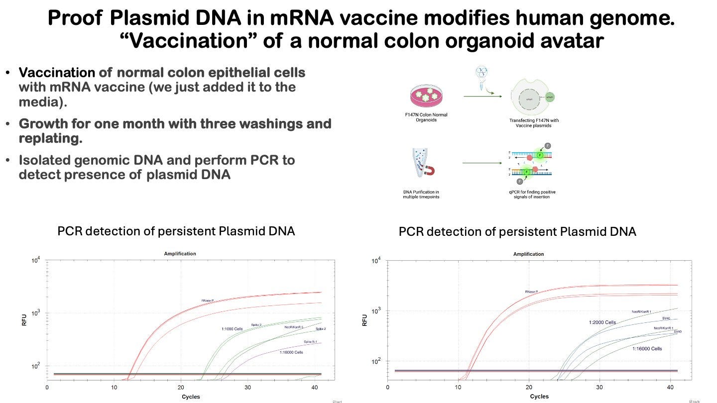 'Dit is een horrorverhaal': Hiermee is aangetoond dat DNA in mRNA ...
