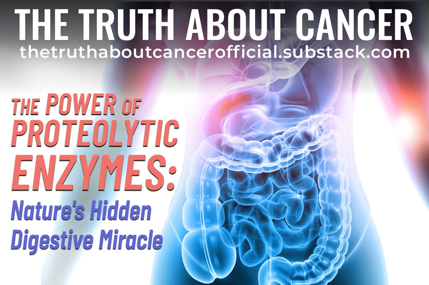 The Power of Proteolytic Enzymes: Nature's Hidden Digestive Miracle 💪🏻