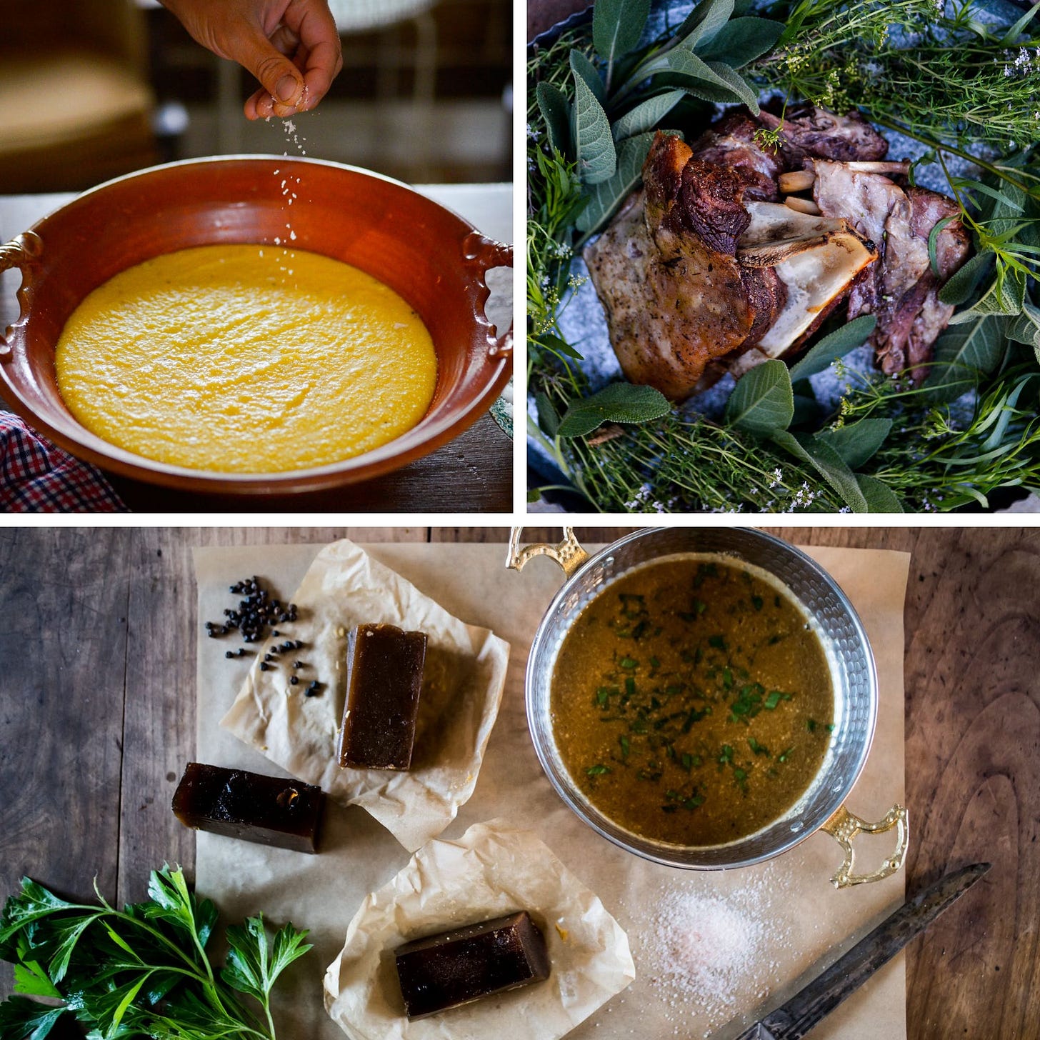 The Elliott Homestead Newsletter | Shaye Elliott | Substack