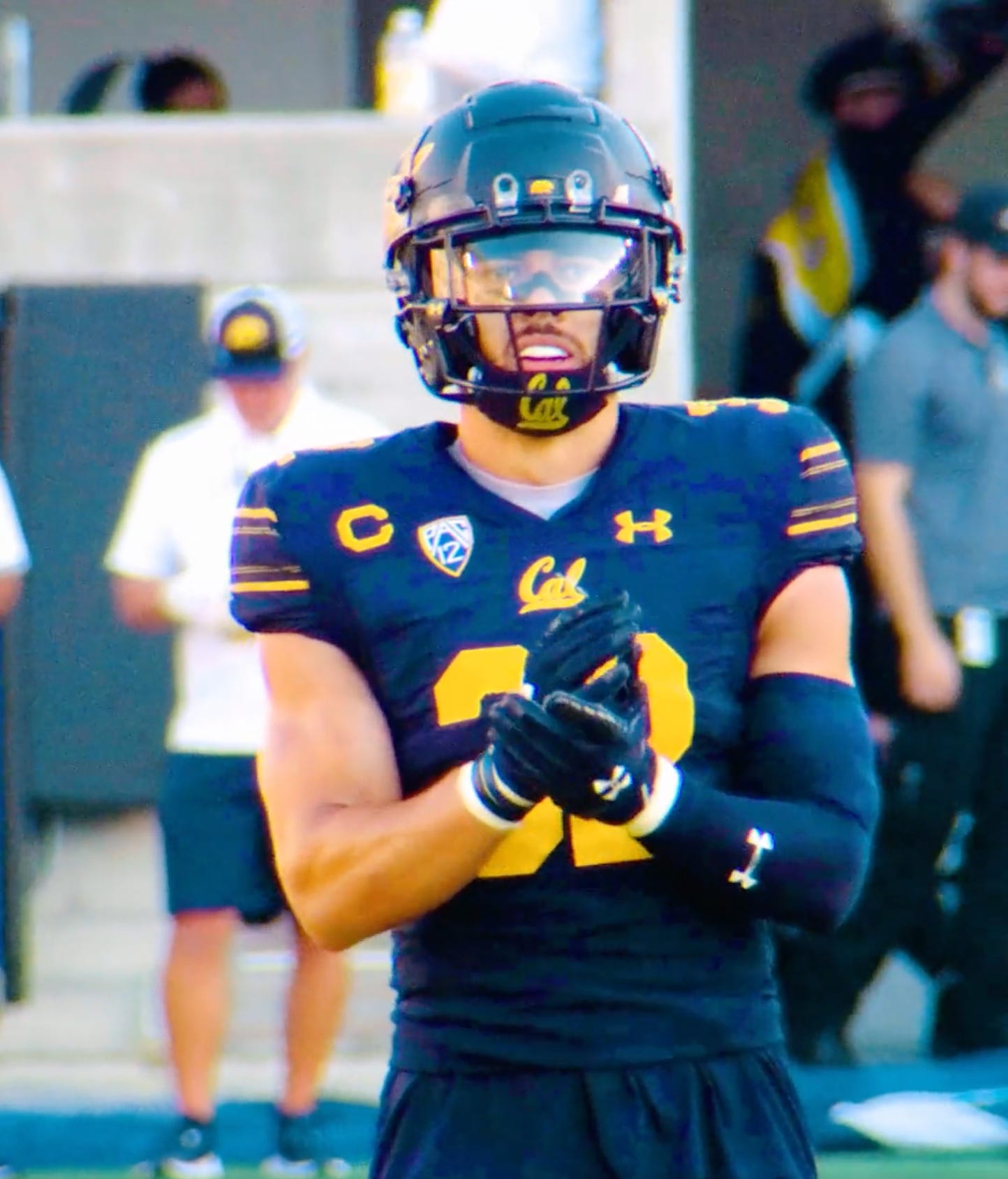 Bears Bureau: I'd Rather Bear Up than Bear Down - by TD_24