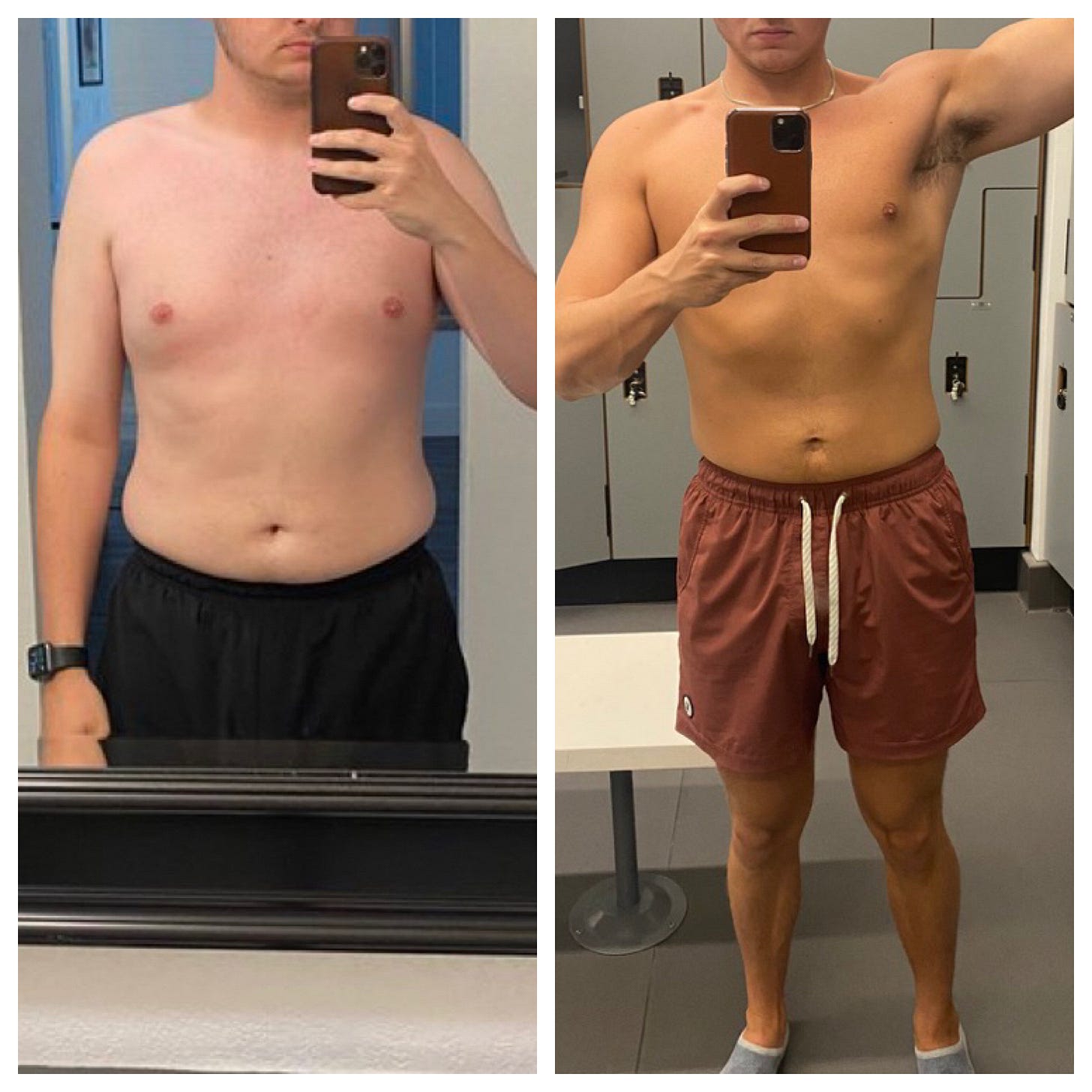 12 Week Push Pull Legs Program Preview - by BowTiedOx