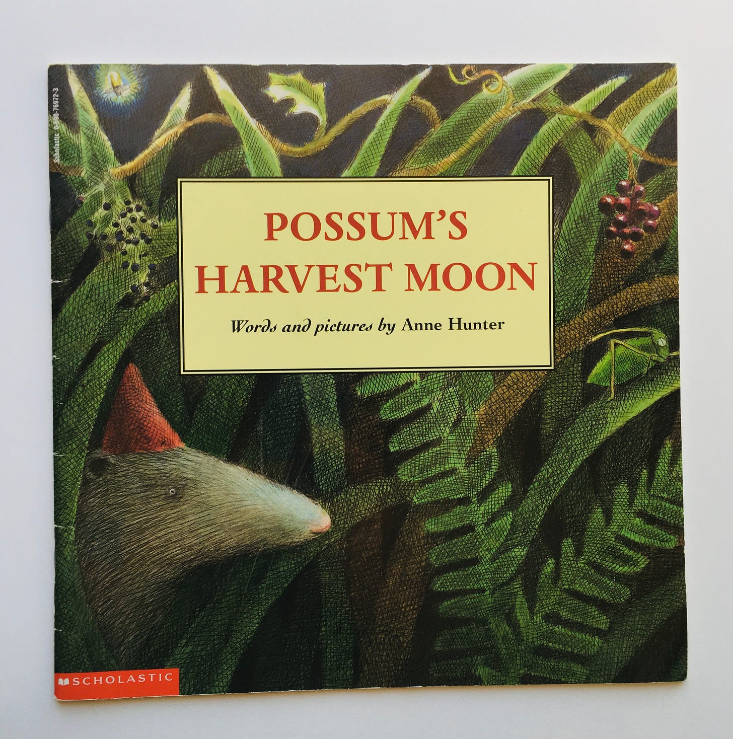 Special edition: Fall 🍁 - by Sarah Miller - Can we read?