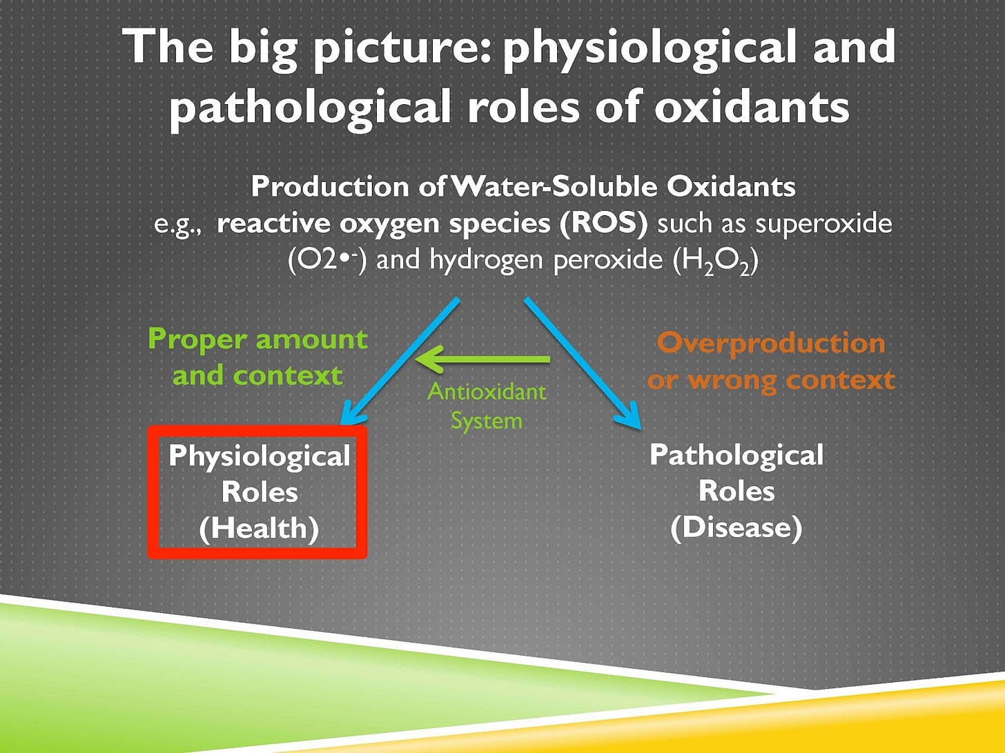 1. Physiological Roles of Oxidants