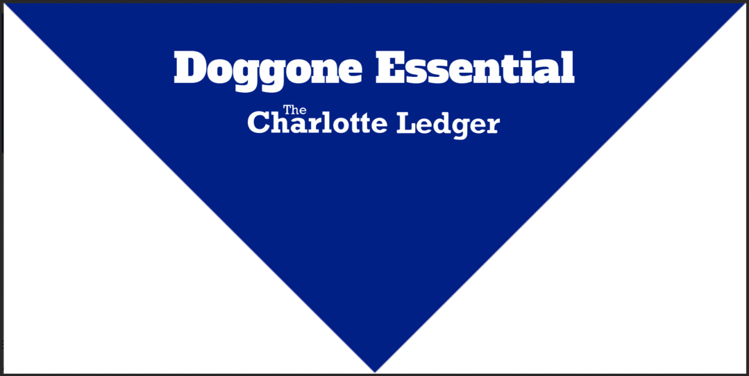 Lives transformed, in photos - by Tony Mecia