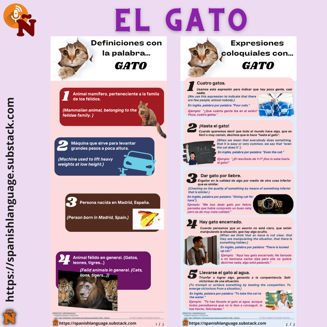 Podcast - Uses and Expressions of the word "GATO" in Spanish. (With ...